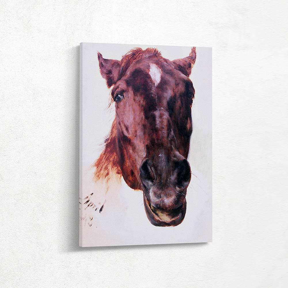 Horse Study – Great Canvas Arts