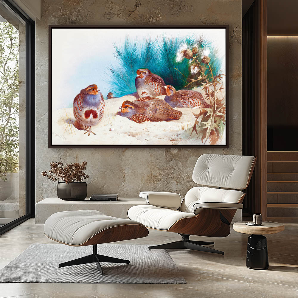 English Partridge with Gorse and Thistles. – Great Canvas Arts