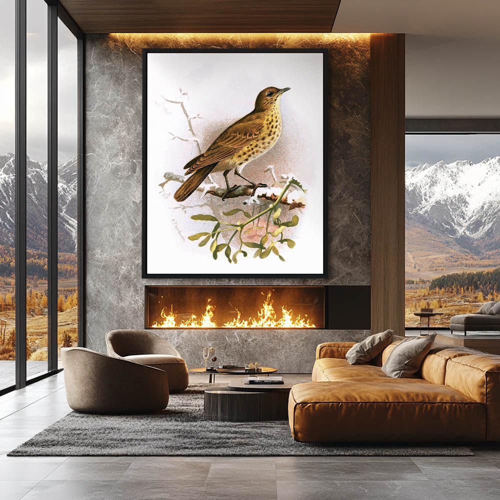 Missel Thrush – Great Canvas Arts
