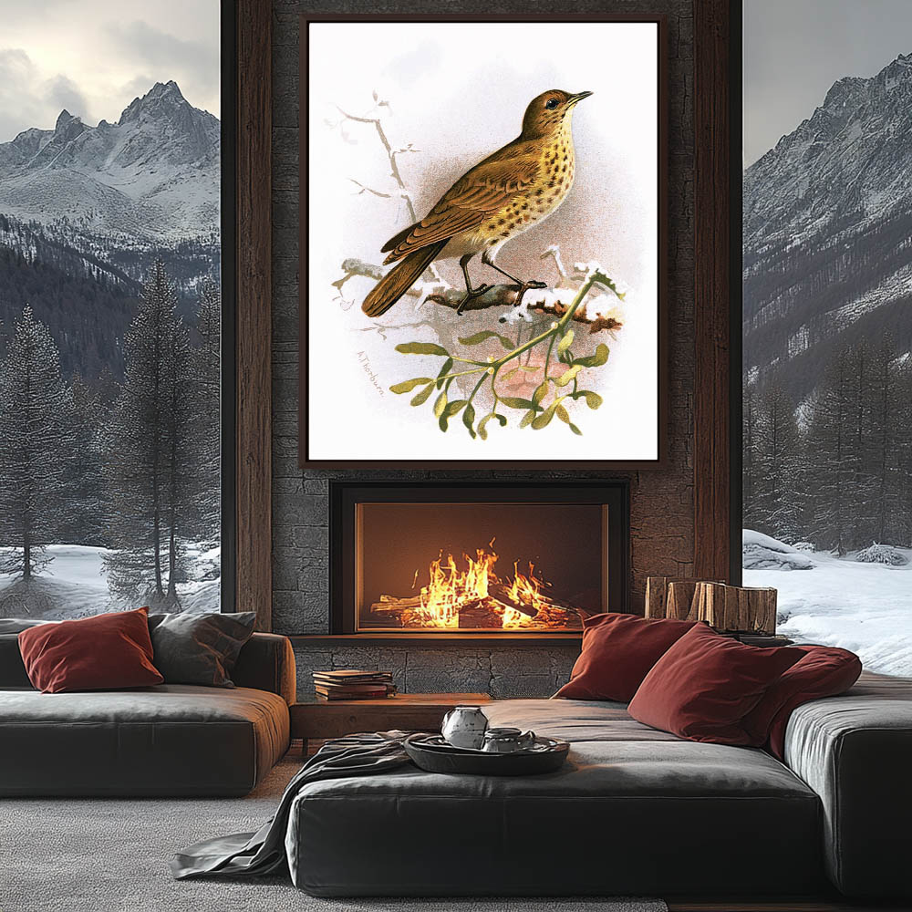 Missel Thrush – Great Canvas Arts