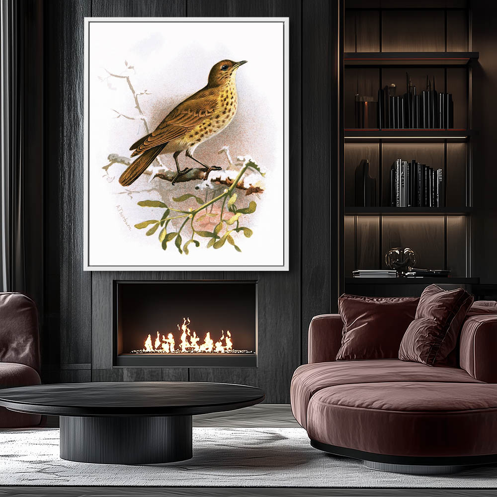 Missel Thrush – Great Canvas Arts
