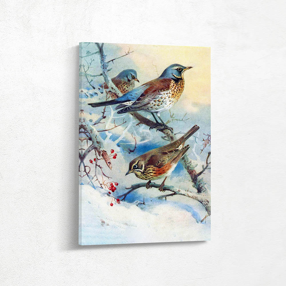 Fieldfare Redwing – Great Canvas Arts