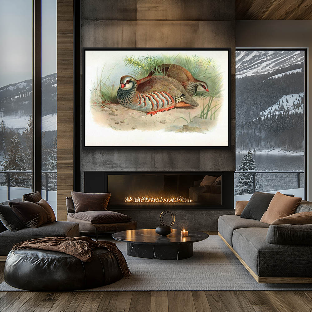 Red Footed Partridge – Great Canvas Arts