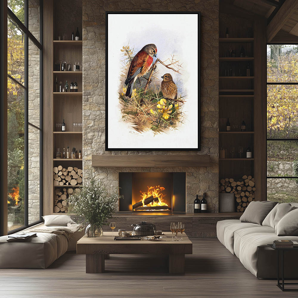 Brown Linnet – Great Canvas Arts