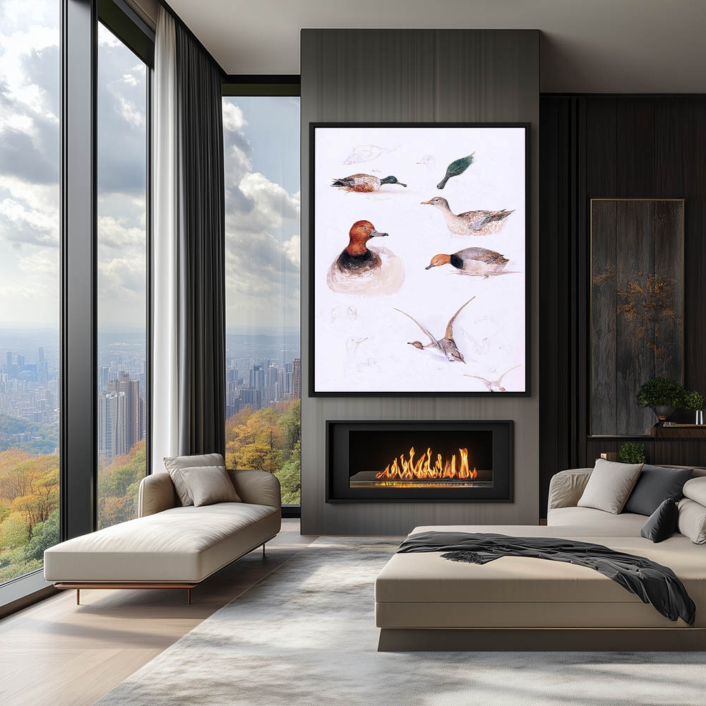 Duck Study – Great Canvas Arts