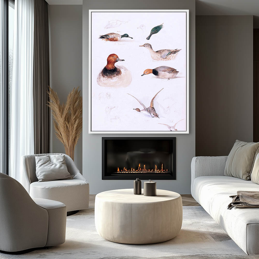 Duck Study – Great Canvas Arts