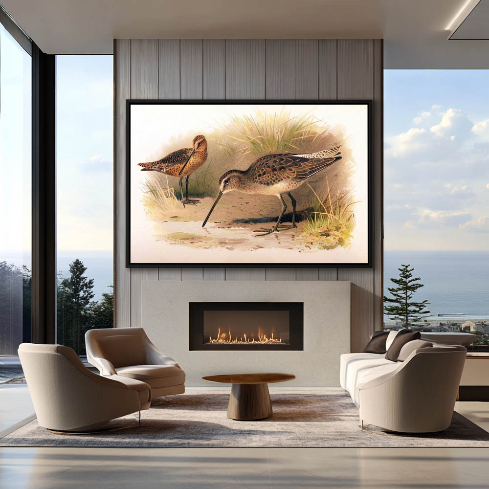 Red Breasted Snipe – Great Canvas Arts