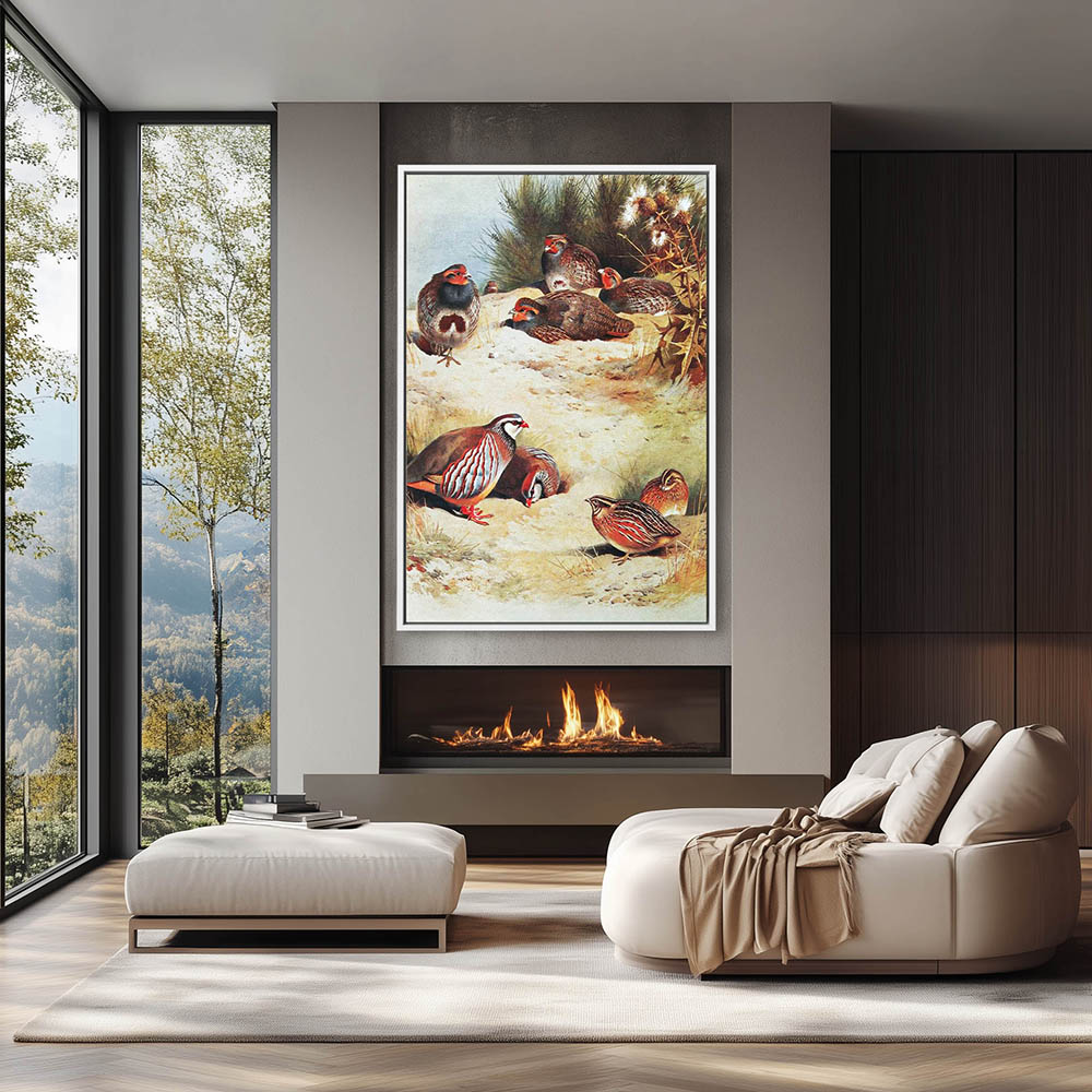 Common Partridge – Great Canvas Arts